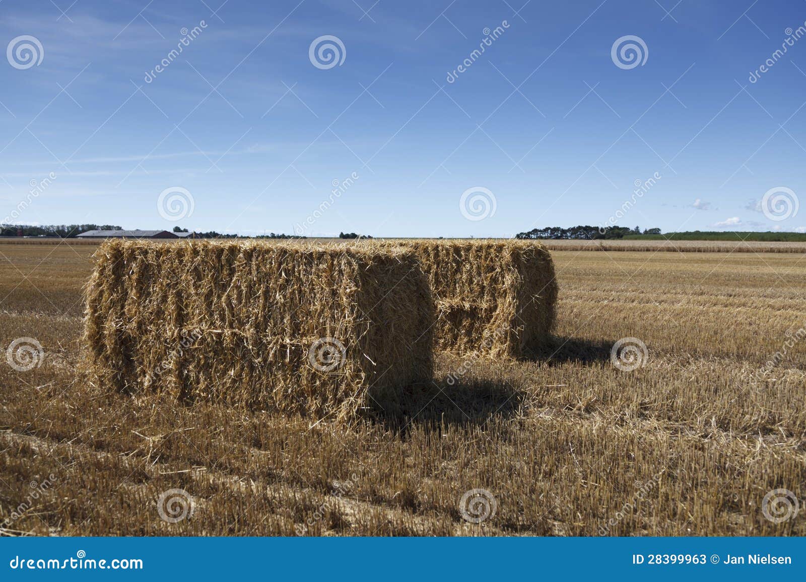 Hay Bale stock image. Image of golden, landscape, bale - 28399963