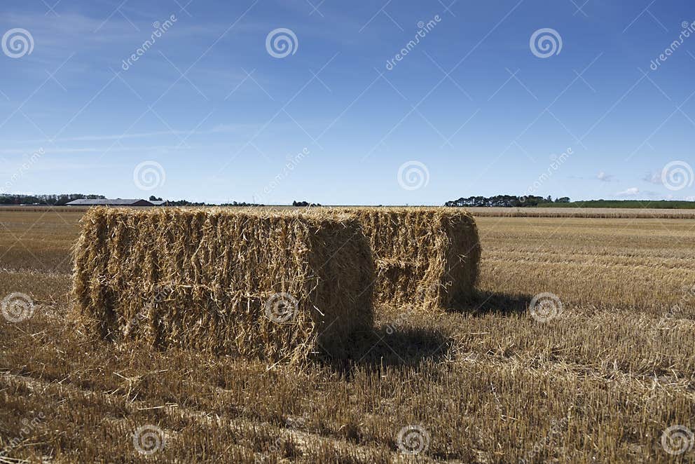 Hay Bale stock image. Image of golden, landscape, bale - 28399963