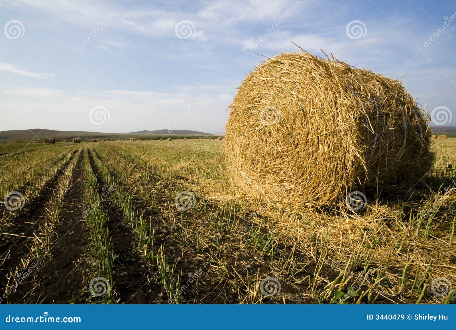 Hay Bale stock image. Image of harvesting, harvest, area - 3440479