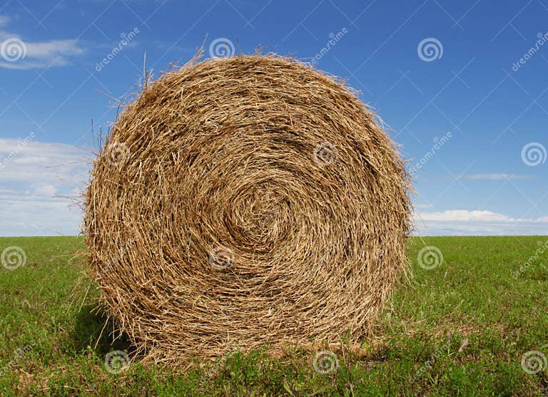 Hay Bale stock photo. Image of farmland, pattern, harvest - 432940