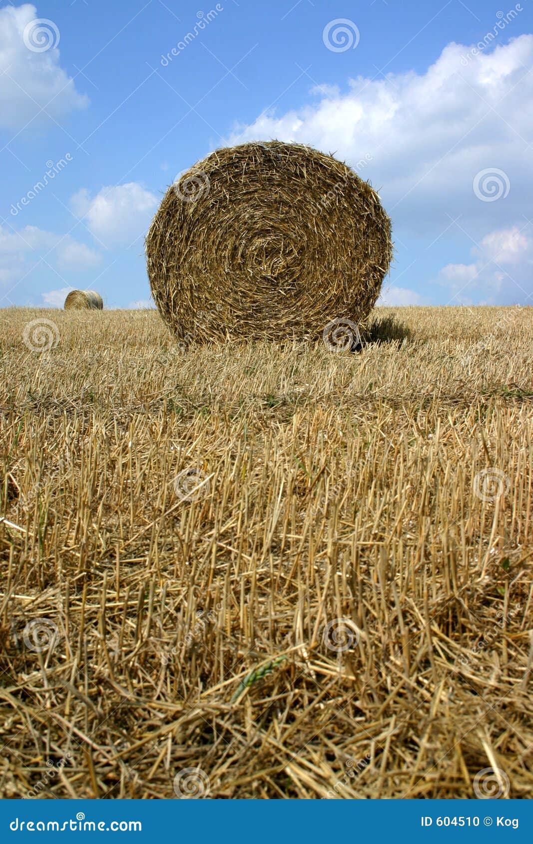 Hay bale stock photo. Image of farming, seasons, agricultural - 604510
