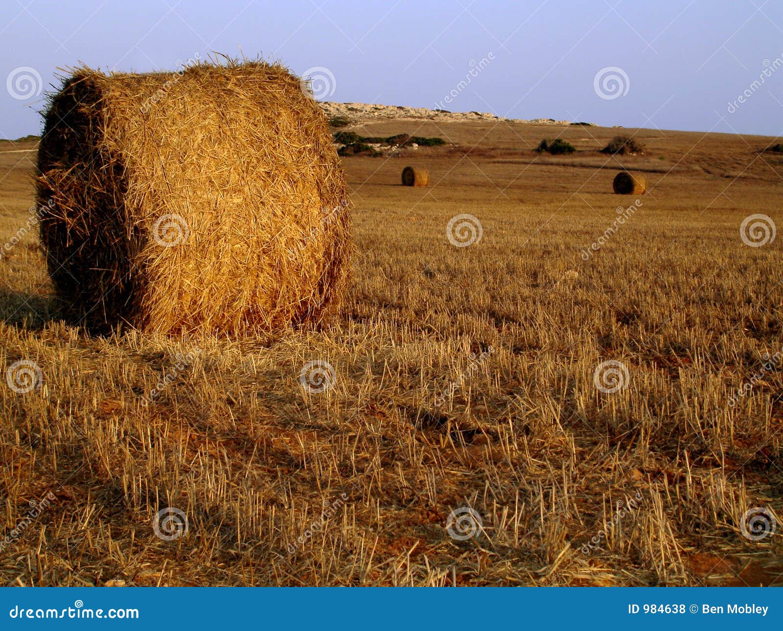 Hay Bale stock photo. Image of landscape, environment, plough - 984638