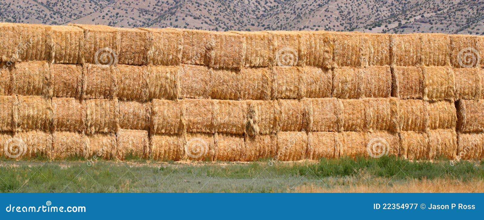 Hay Bale Background stock image. Image of farming, haybale - 22354977