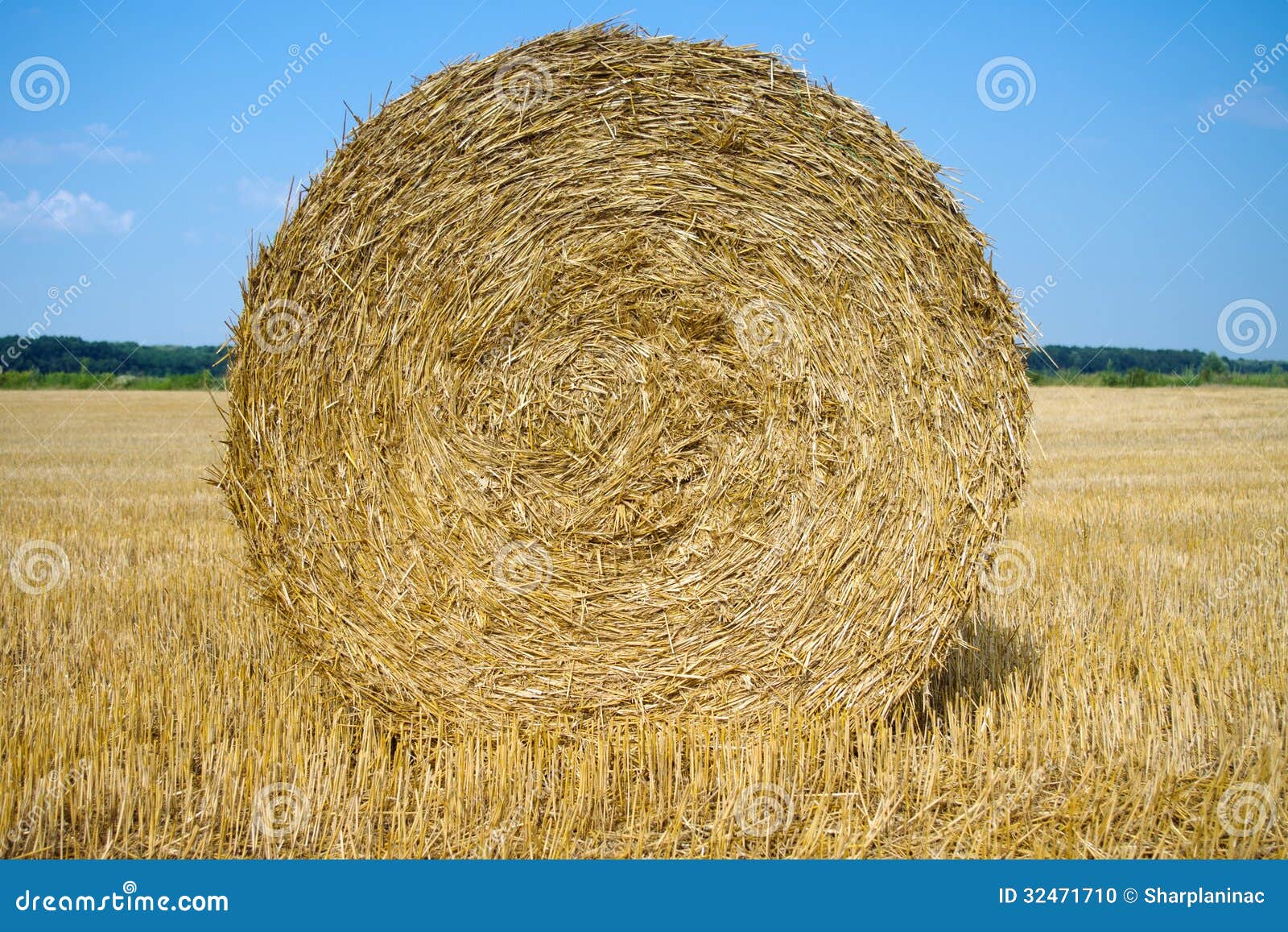 Hay bale stock photo. Image of autumn, haystack, feed - 32471710