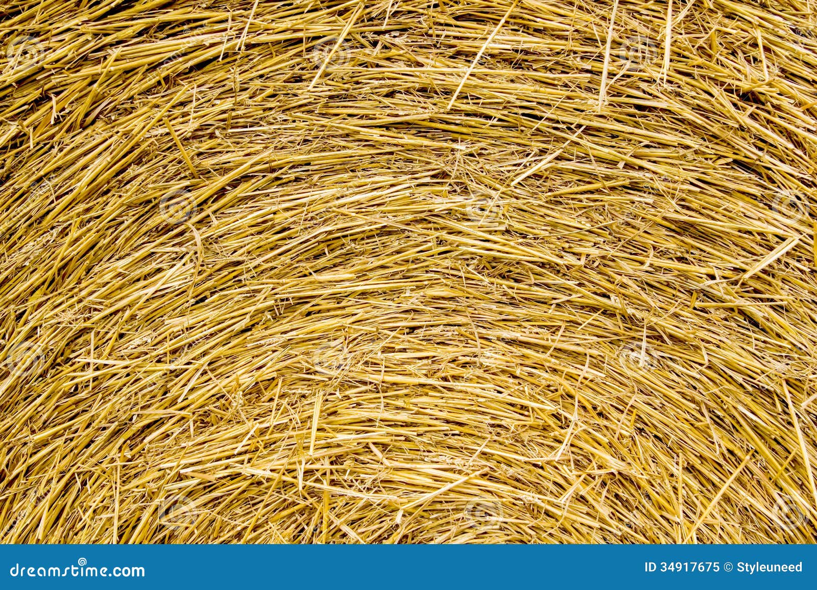 273 Bale Textures Stock Photos - Free & Royalty-Free Stock Photos from ...