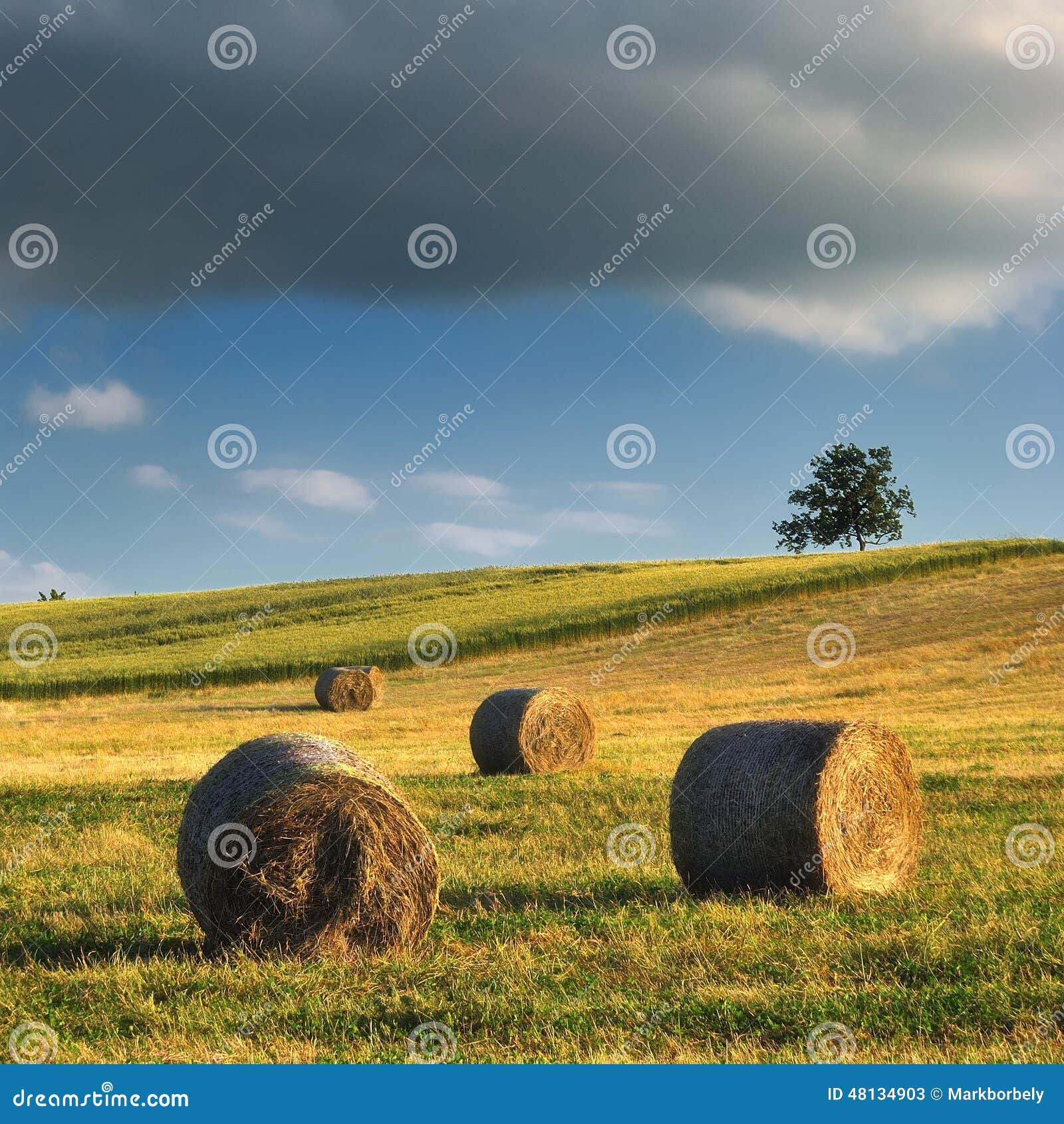 Hay Bale Farm image stock. Image du ferme, foin, pré - 48134903