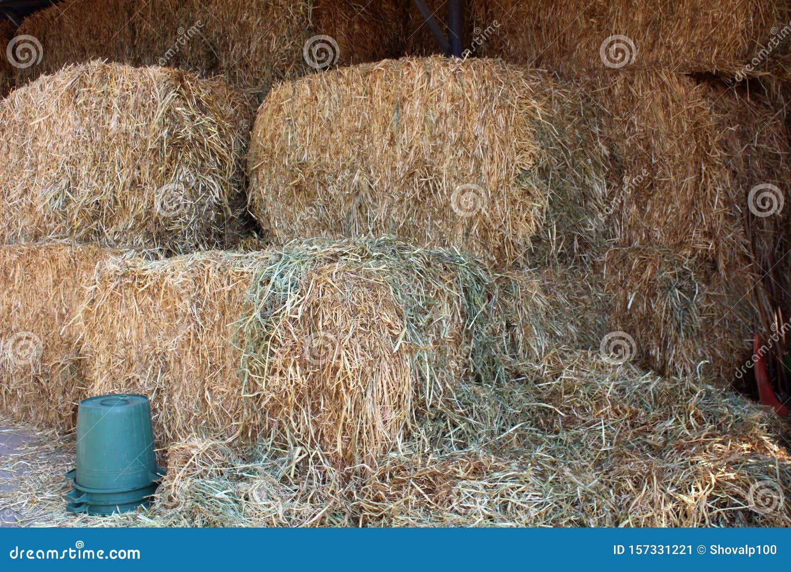 Hay bale in a farm stock image. Image of earth, water - 157331221