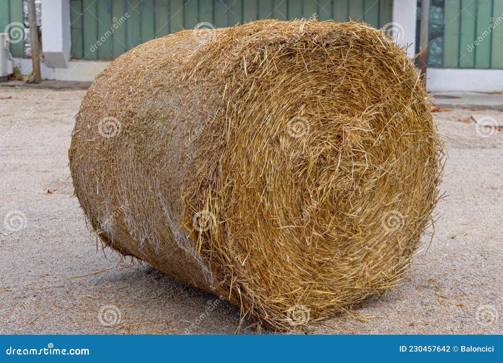 Hay Bale Farm stock photo. Image of shape, bale, serbia - 230457642