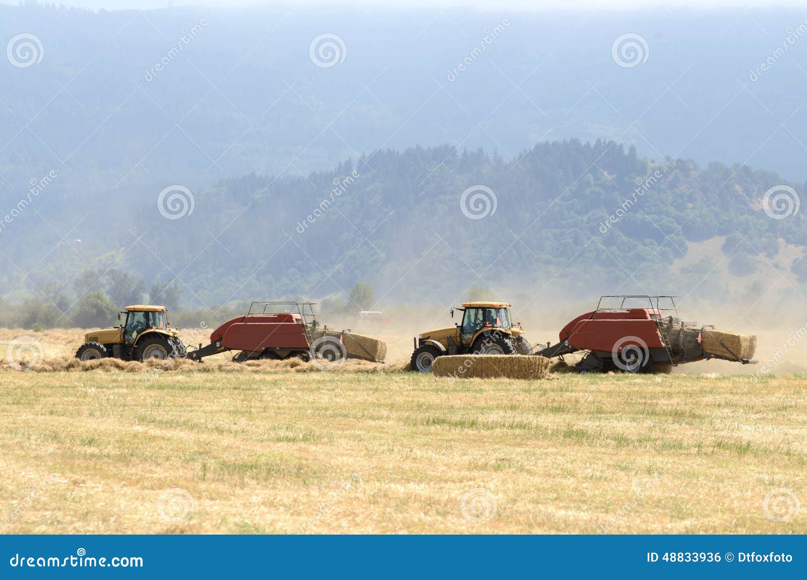 Hay Bale stock photo. Image of harvest, vegetation, landscape - 48833936