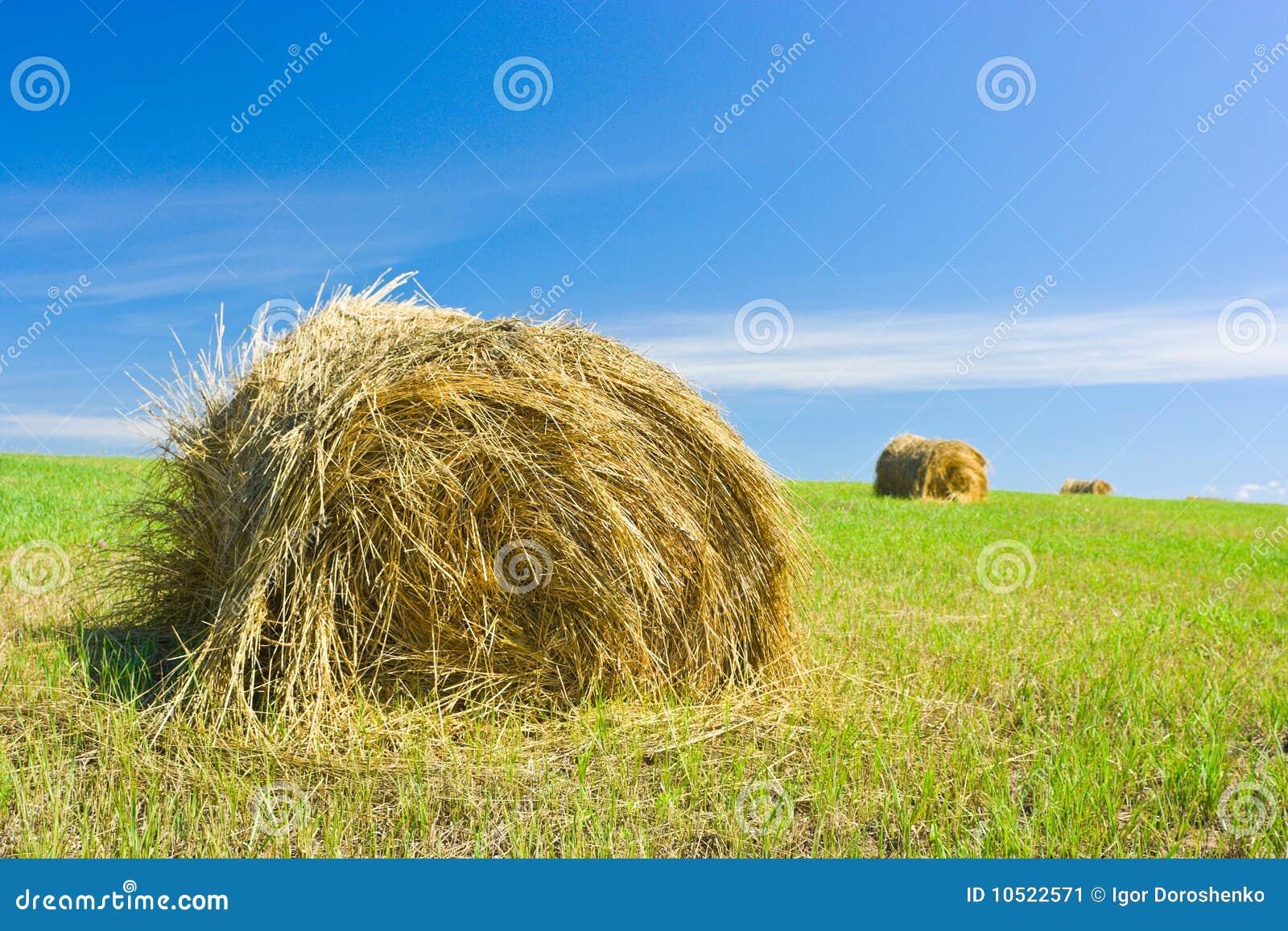 Hay bale on a field stock image. Image of field, haystack - 10522571
