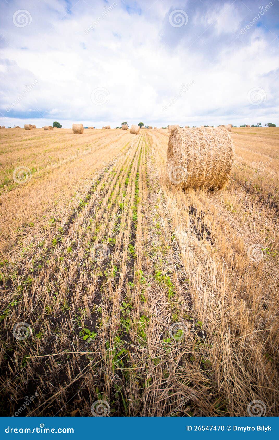 Hay Bale in the Field stock photo. Image of farmland - 26547470