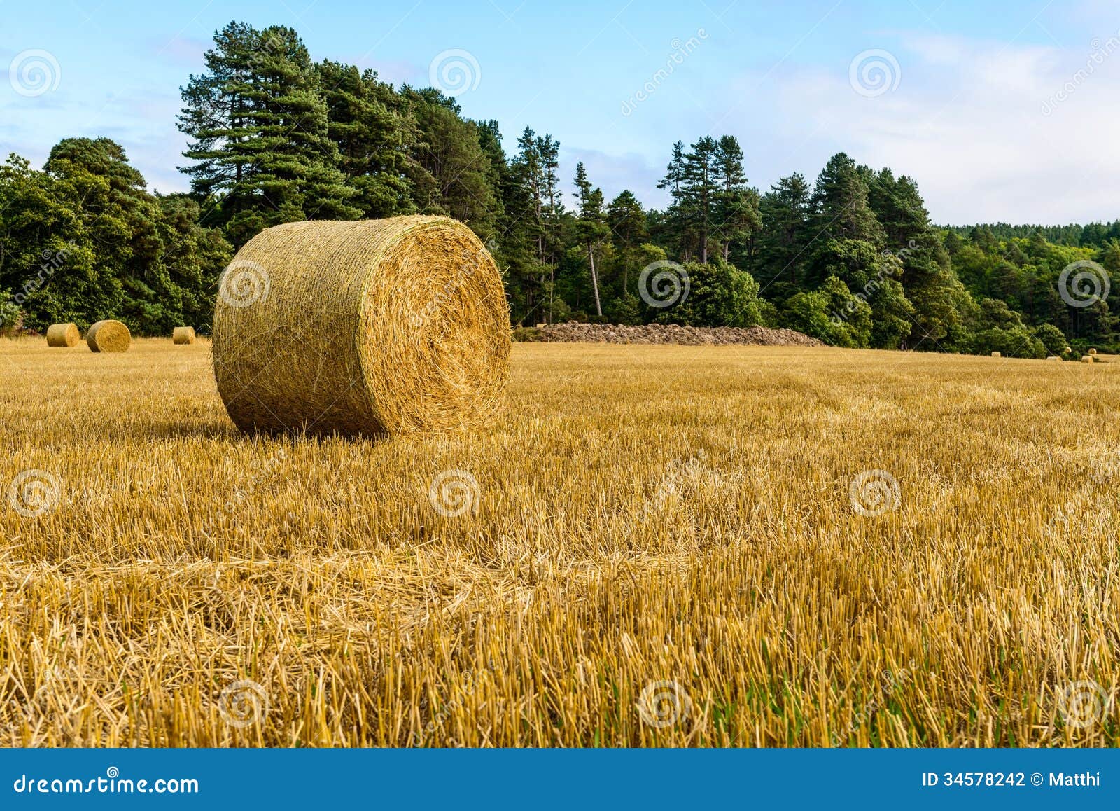 Hay bale field, Scotland stock photo. Image of scotland - 34578242