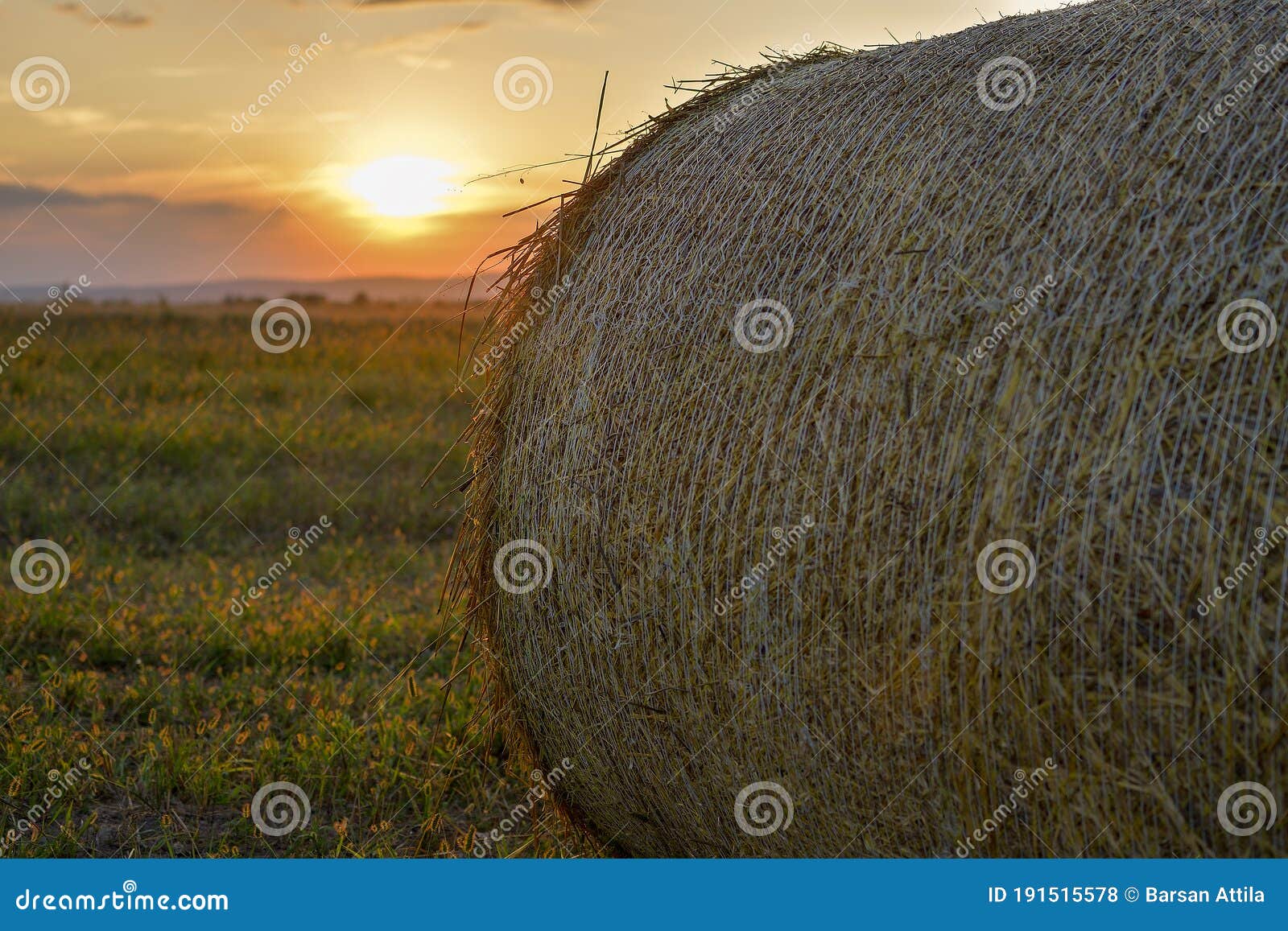 Hay Bale on the Field at Sunset Stock Photo - Image of agricultural ...