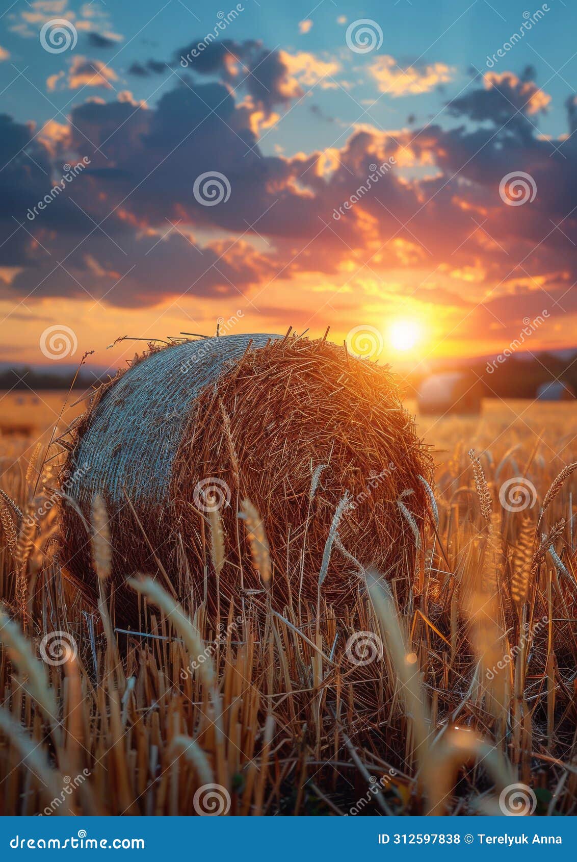 Hay Bale in the Field at Sunset Stock Photo - Image of blue, sunlight ...
