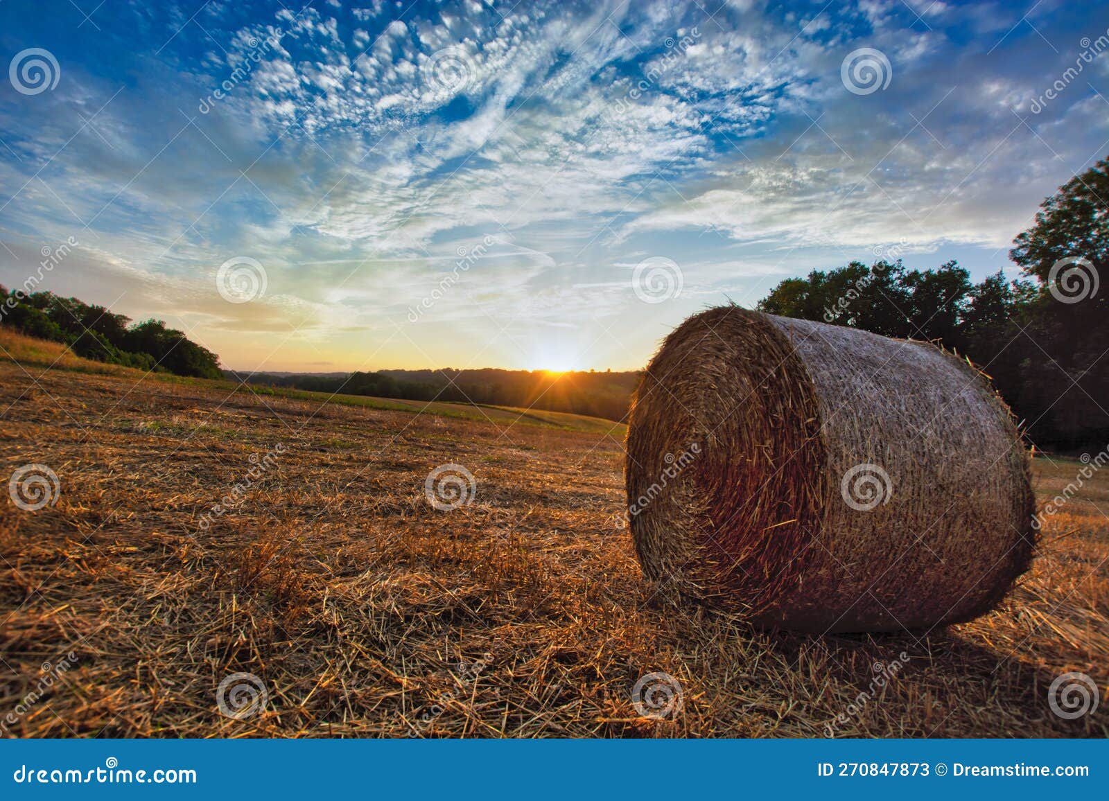 Hay Bale on the Field at Sunset. Stock Image - Image of leaf, tree ...
