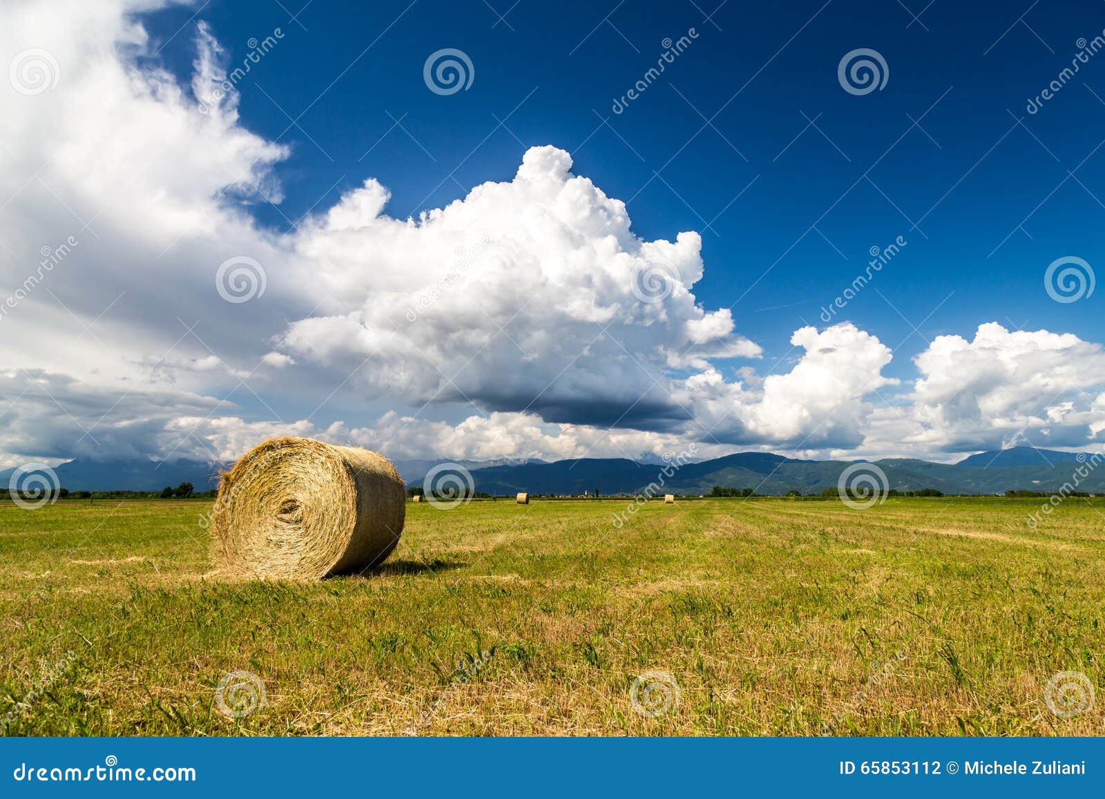 Hay Bale in the Fields of Italy Stock Photo - Image of horizon, farm ...