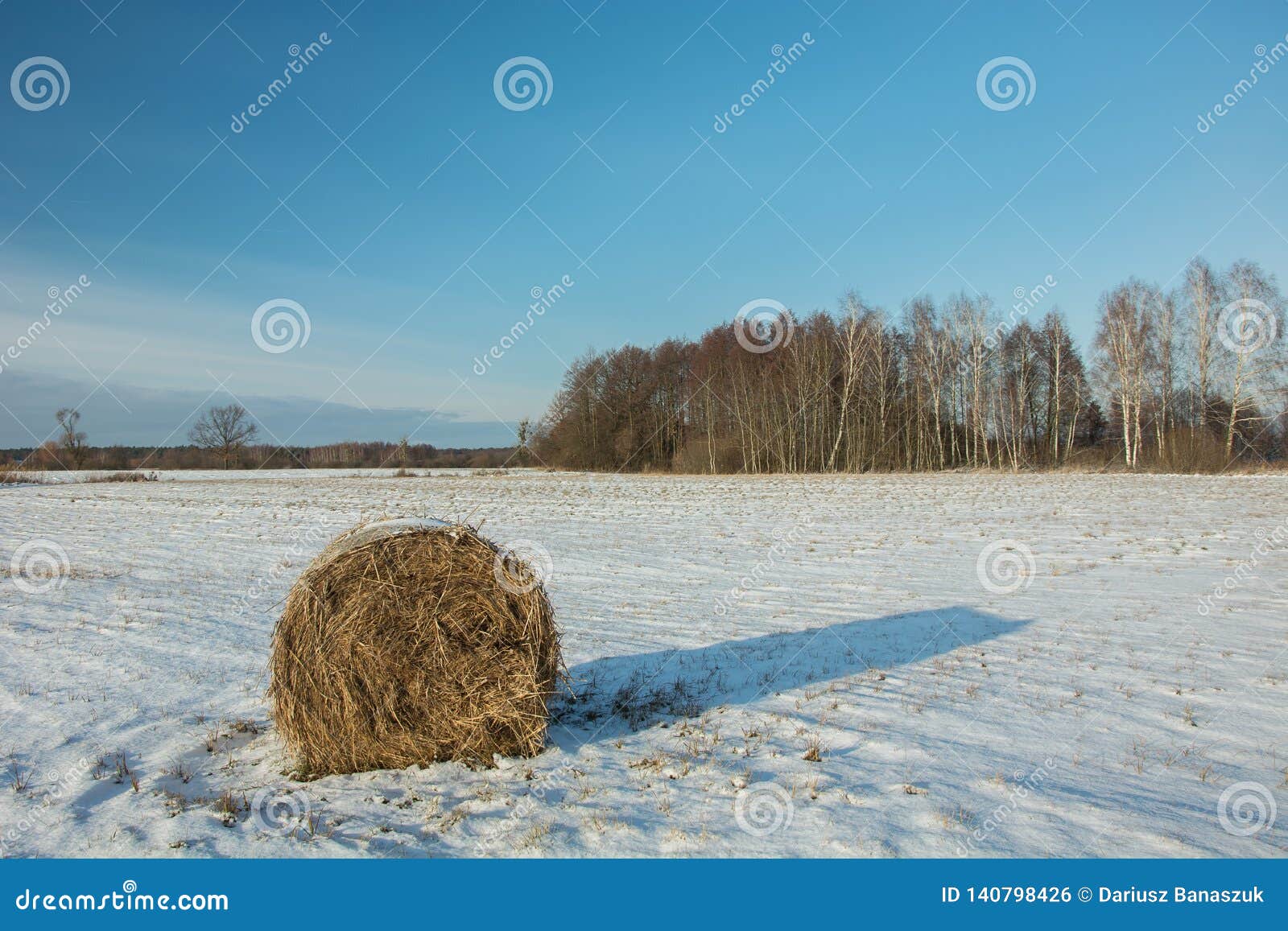 Hay Bale, Forest and Field Covered with Snow Stock Photo - Image of ...