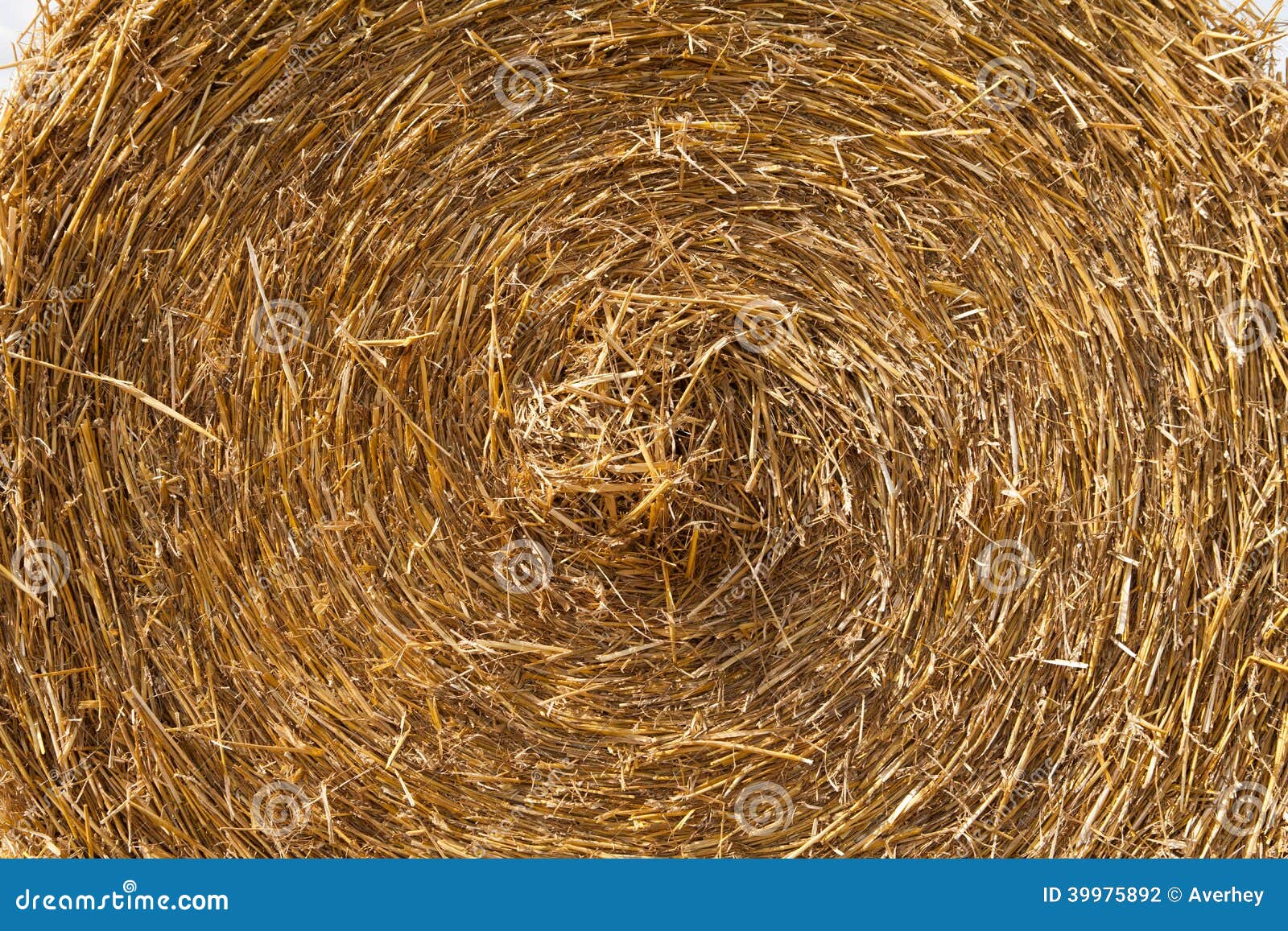 Hay Bale stock photo. Image of land, haycock, green, agriculture - 39975892