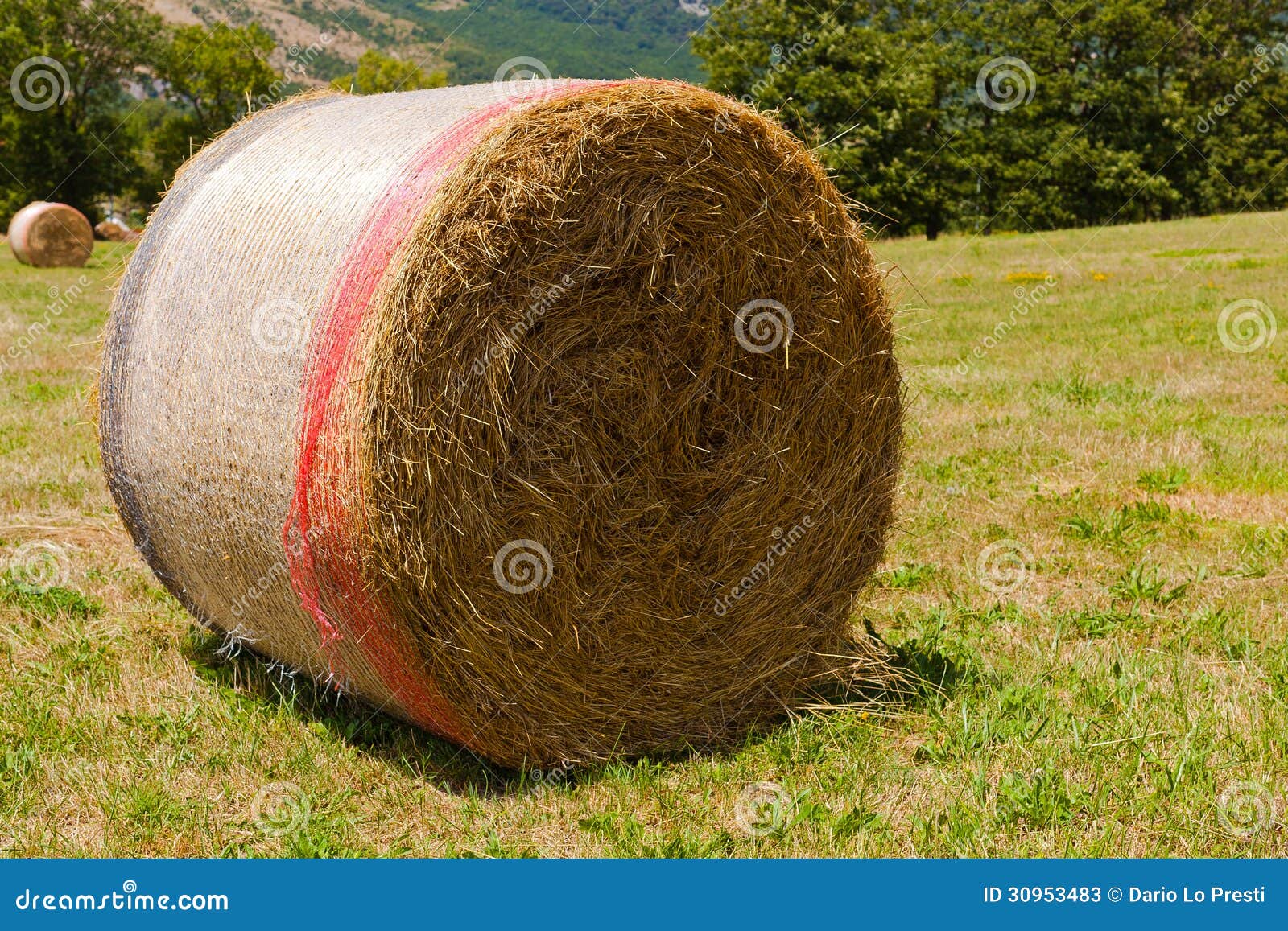 Hay bale stock image. Image of scene, tranquil, farm - 30953483