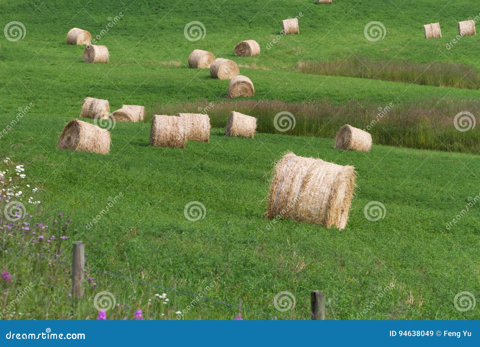 Hay Bale stock image. Image of agriculture, plant, yellow - 94638049