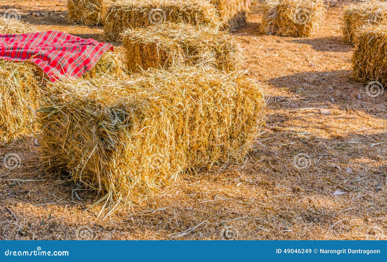 Hay bale on the ground stock image. Image of food, concepts - 49046249