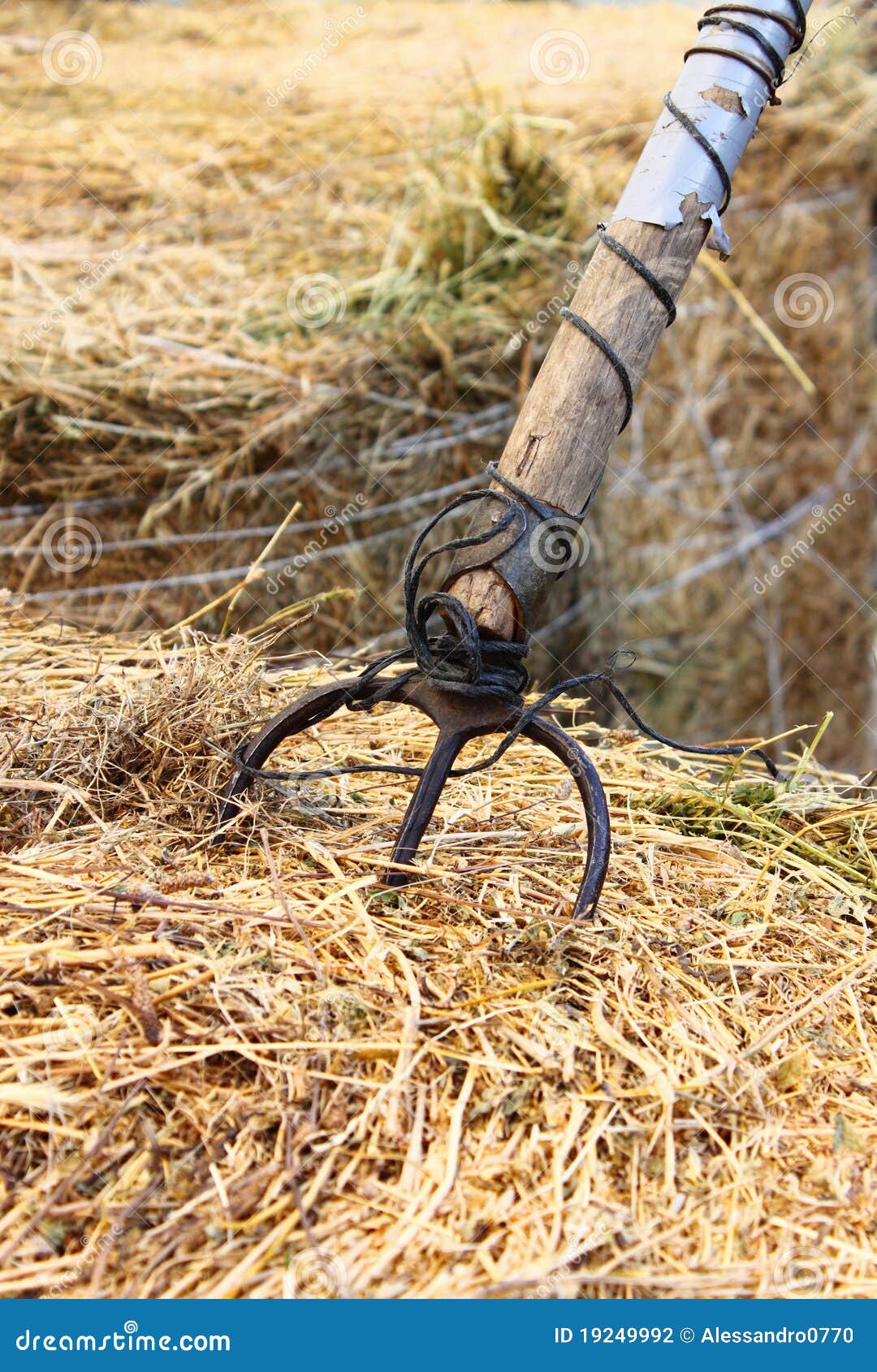 The Old Hayfork On Wood Background, Fork Of Farmers Hoeing Weeds ...