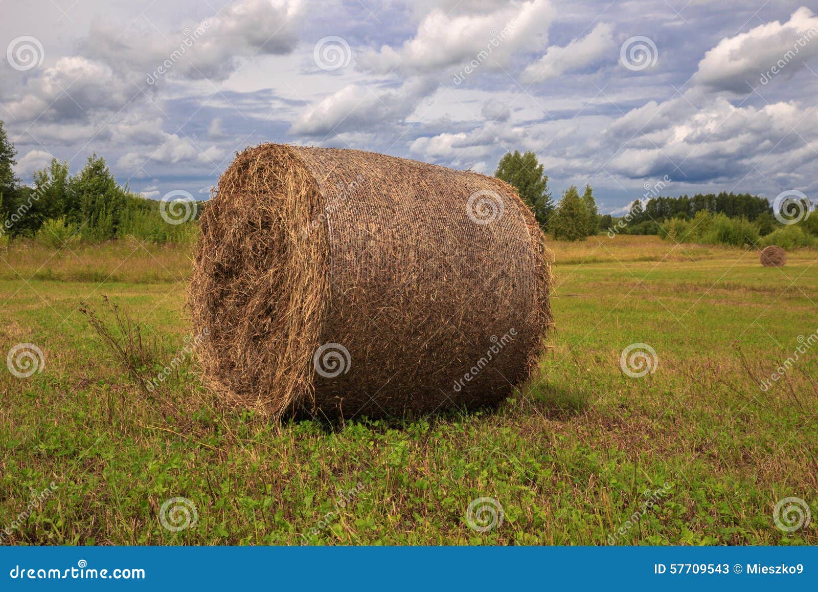 Hay Bale stock image. Image of hayfield, haying, color - 57709543