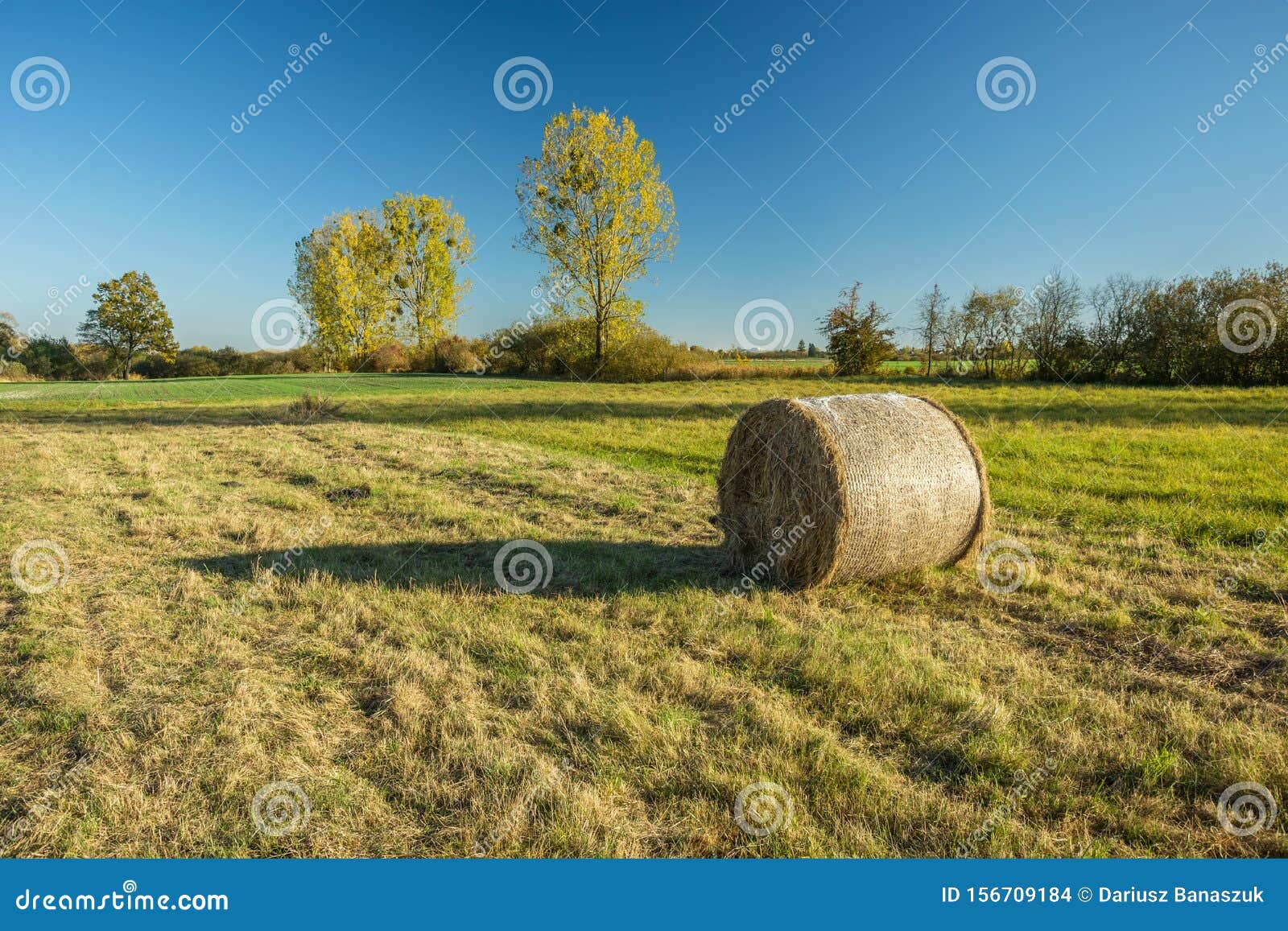 Hay Bale in the Meadow, Autumn Trees Stock Photo - Image of green ...