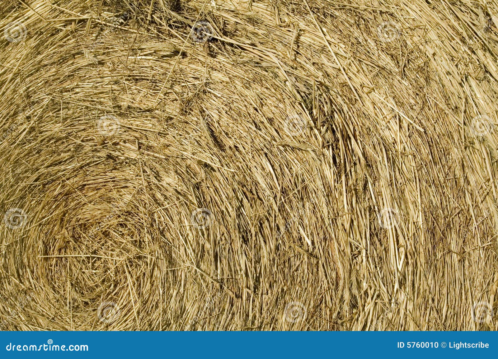 Hay Bale Roll Background Texture Stock Photo - Image of midwest ...