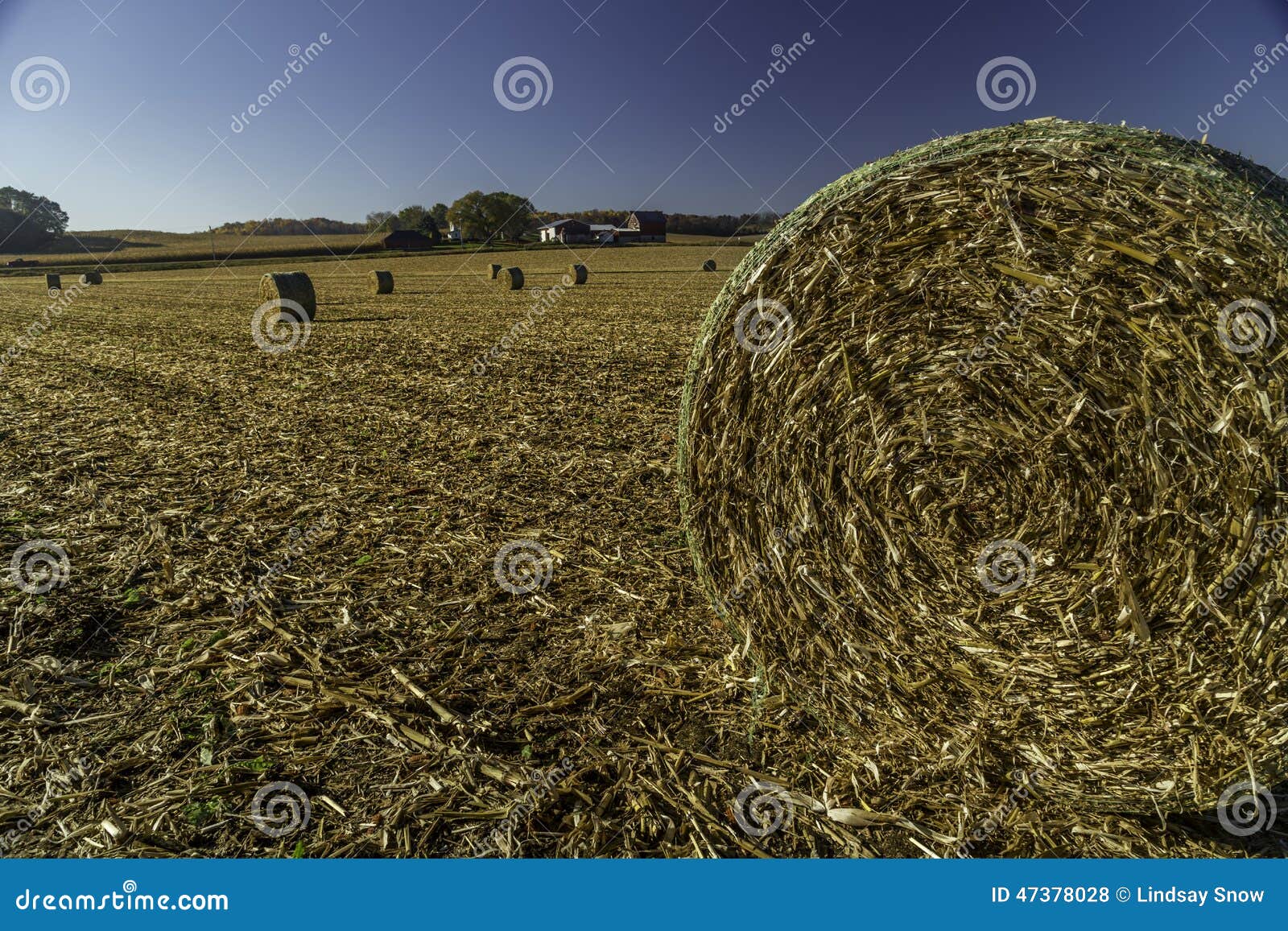 Hay Bale stock photo. Image of agriculture, crop, haystack - 47378028