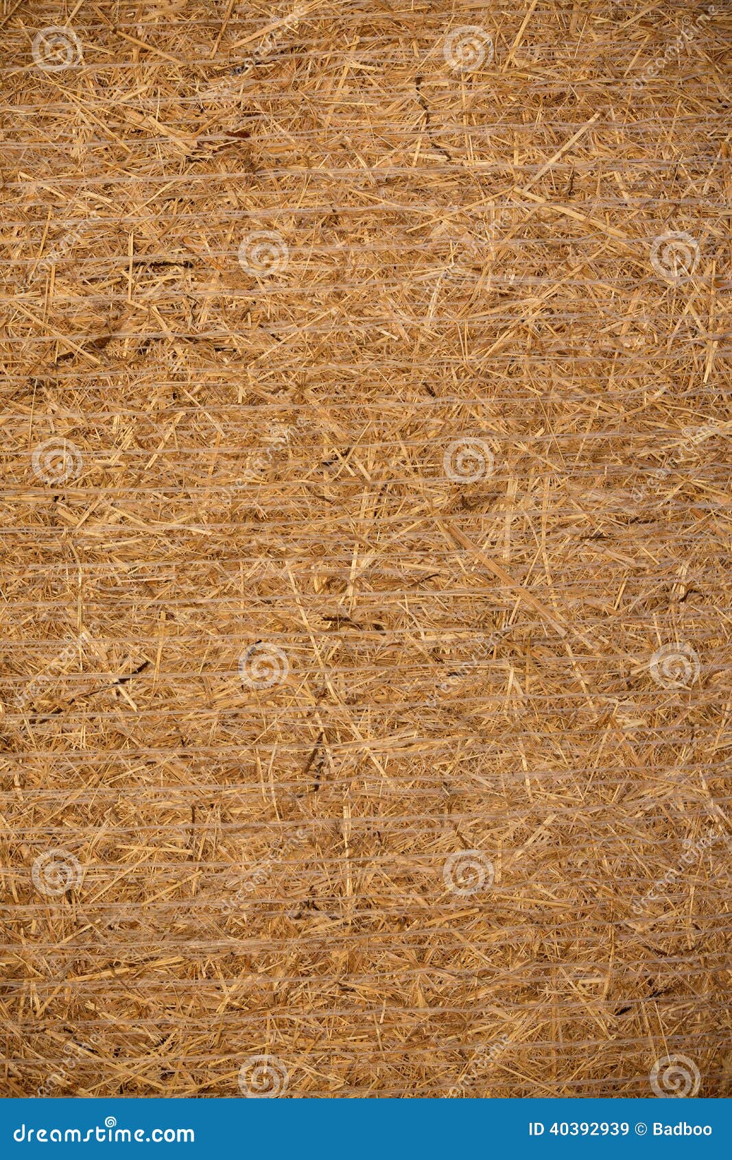 Hay bale side view stock image. Image of straw, gold - 40392939