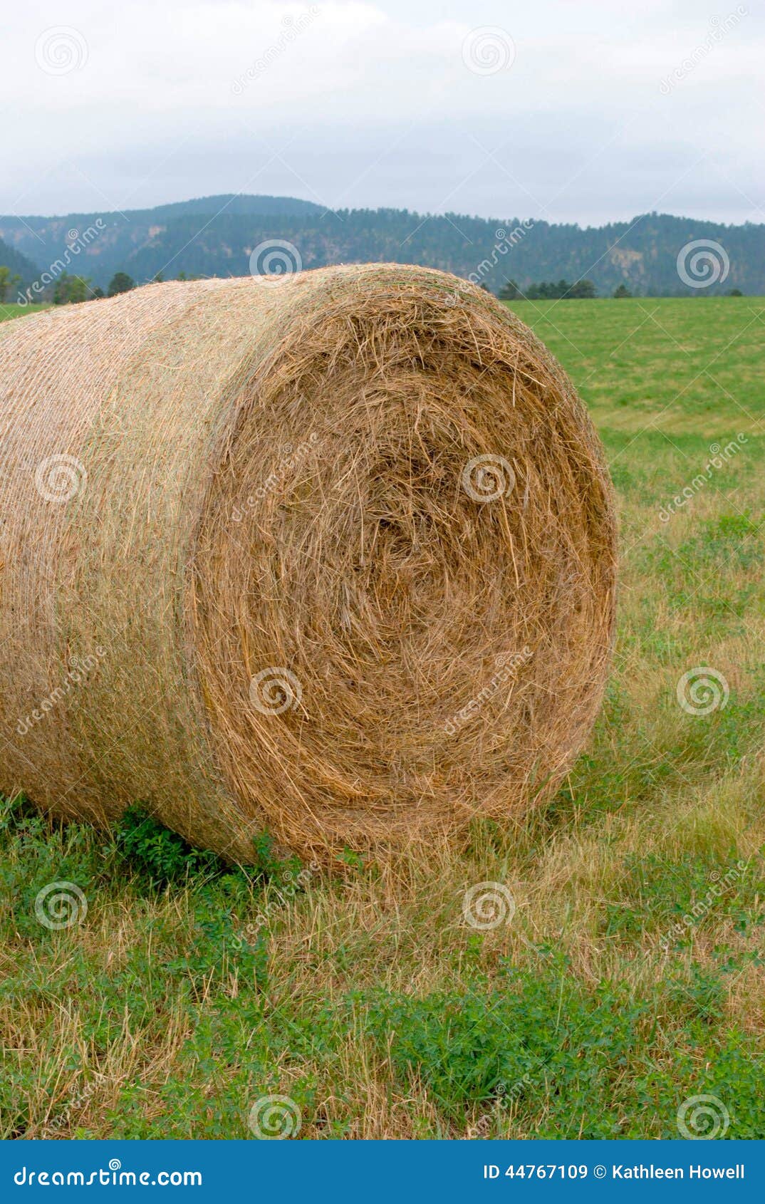 Hay Bale stock image. Image of tree, distant, trees, gray - 44767109