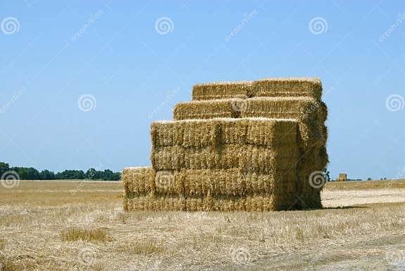 Hay Bale Stack stock photo. Image of shack, grass, pasture - 980156