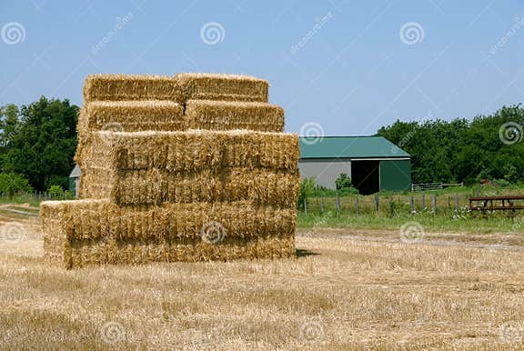 Hay Bale Stack stock image. Image of stacking, farming - 980157