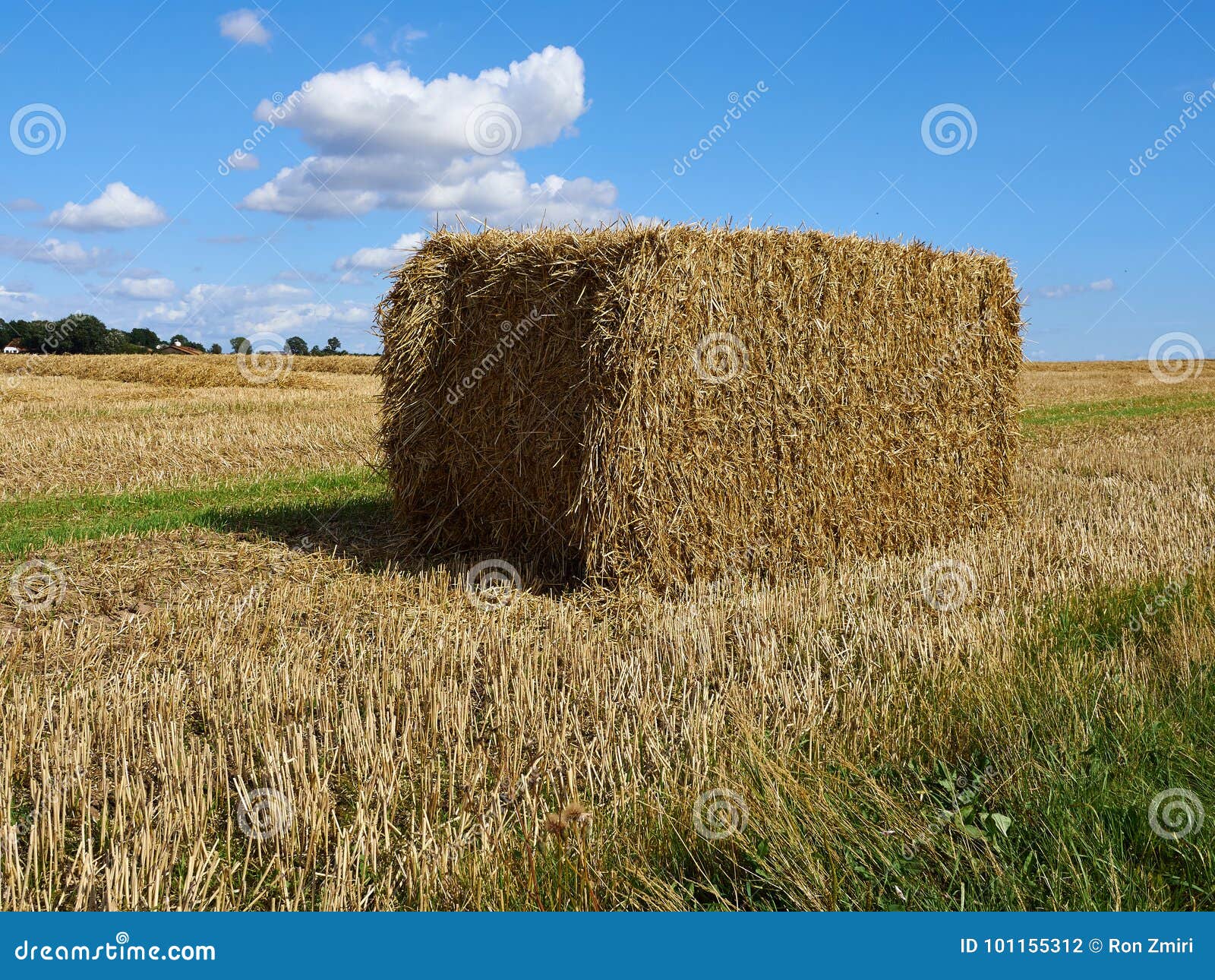 Hay Bale Stack Grain Crop in a Field Stock Photo - Image of haystack ...