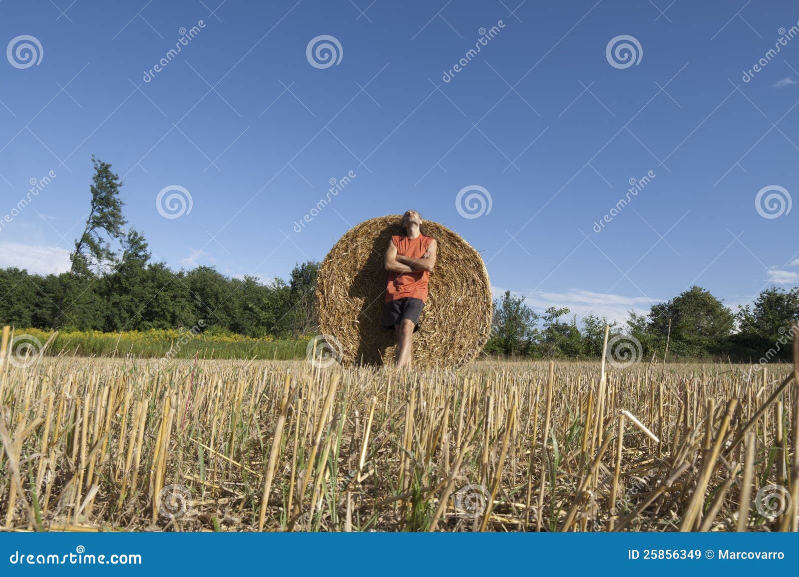 Hay bale standing man stock image. Image of outdoor, handsome - 25856349