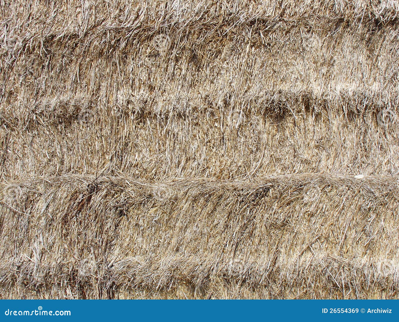 Hay bale texture stock image. Image of food, outdoor - 26554369