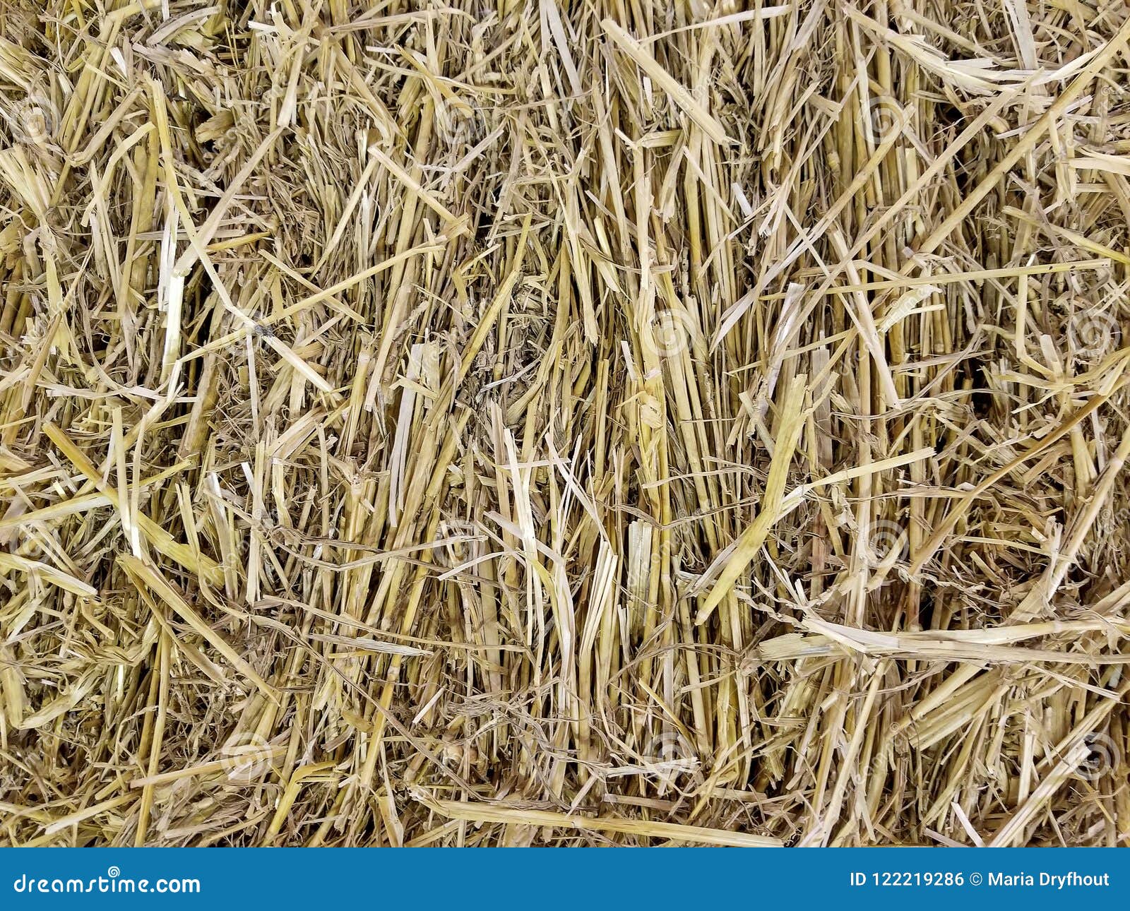 Hay Bale Texture Background Stock Photo - Image of crop, harvest: 122219286