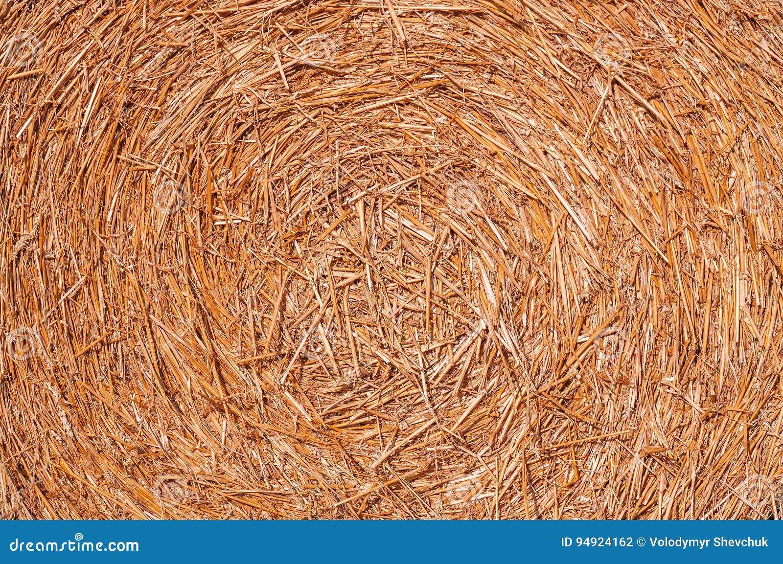 Hay, bale, texture stock photo. Image of heap, autumn - 94924162