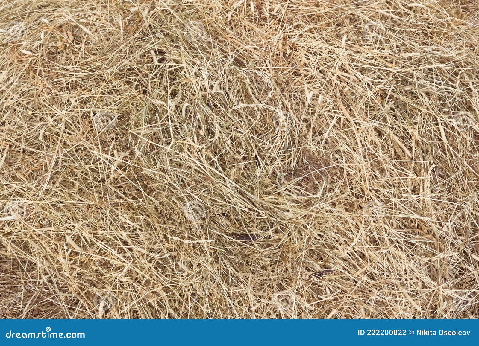 Hay Bale Texture, Dry Textured Straw Background, Golden Haystack In The ...