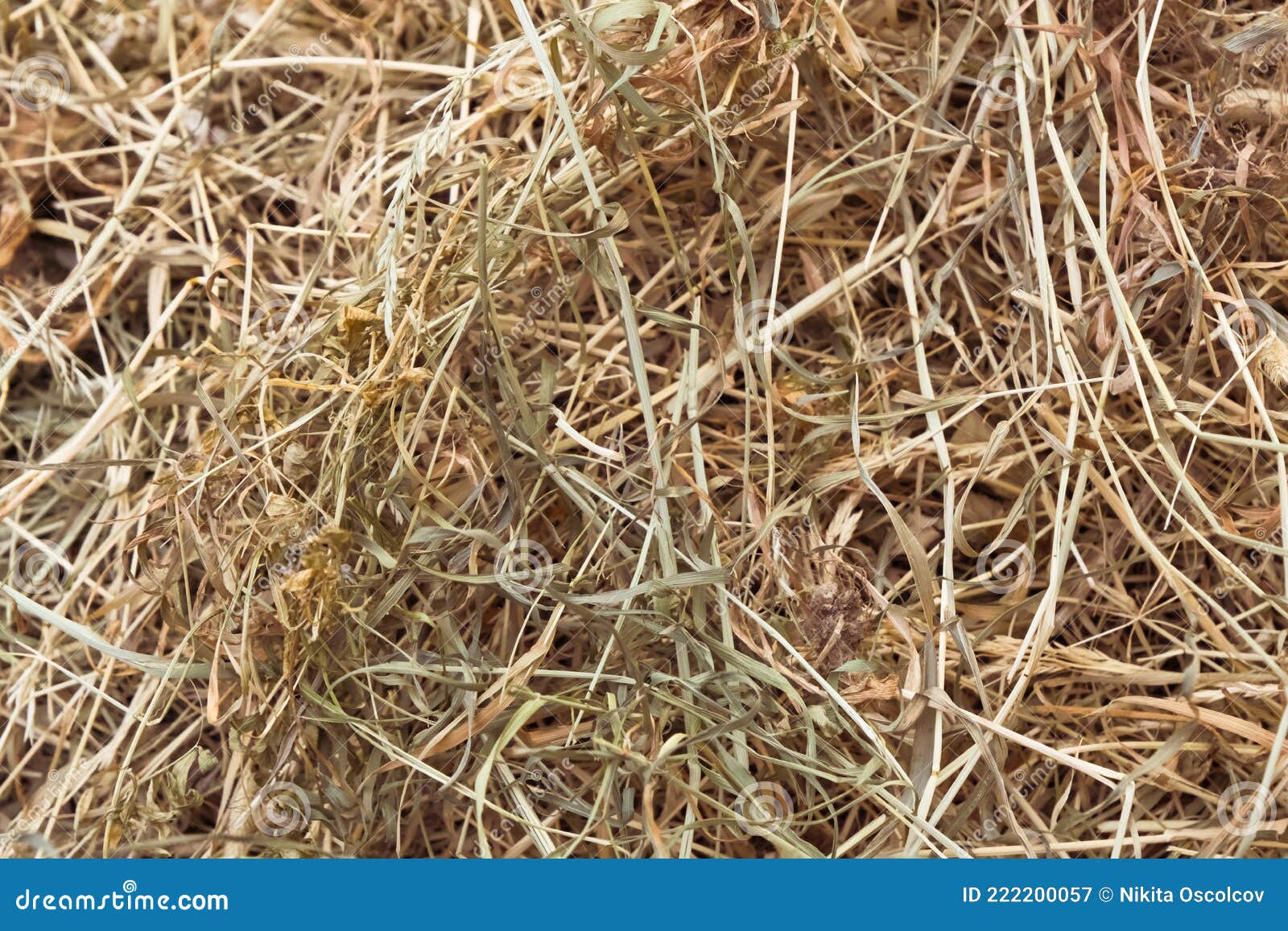 Hay Bale Texture, Dry Textured Straw Background, Golden Haystack in the ...