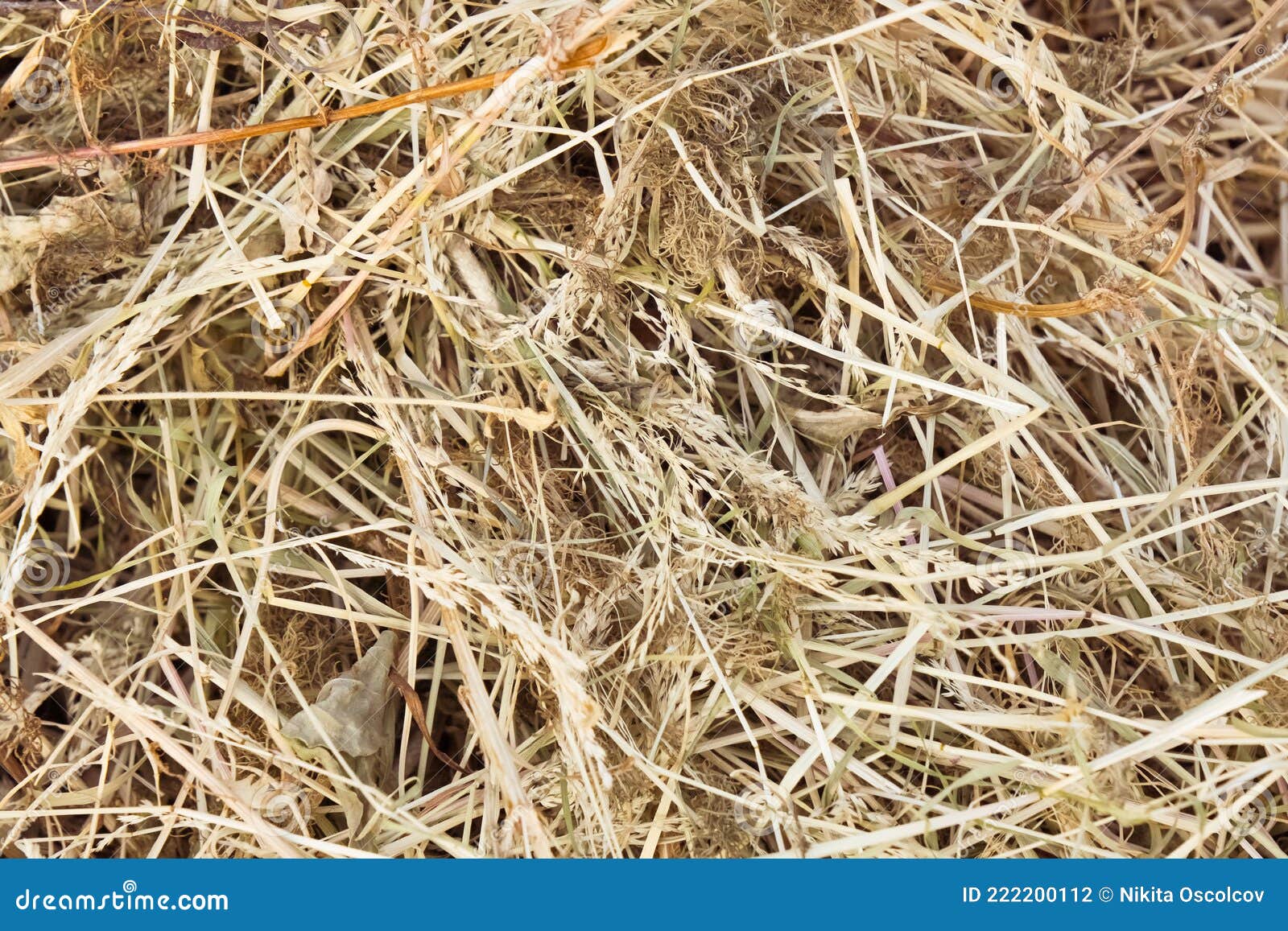 Hay Bale Texture, Dry Textured Straw Background, Golden Haystack In The ...