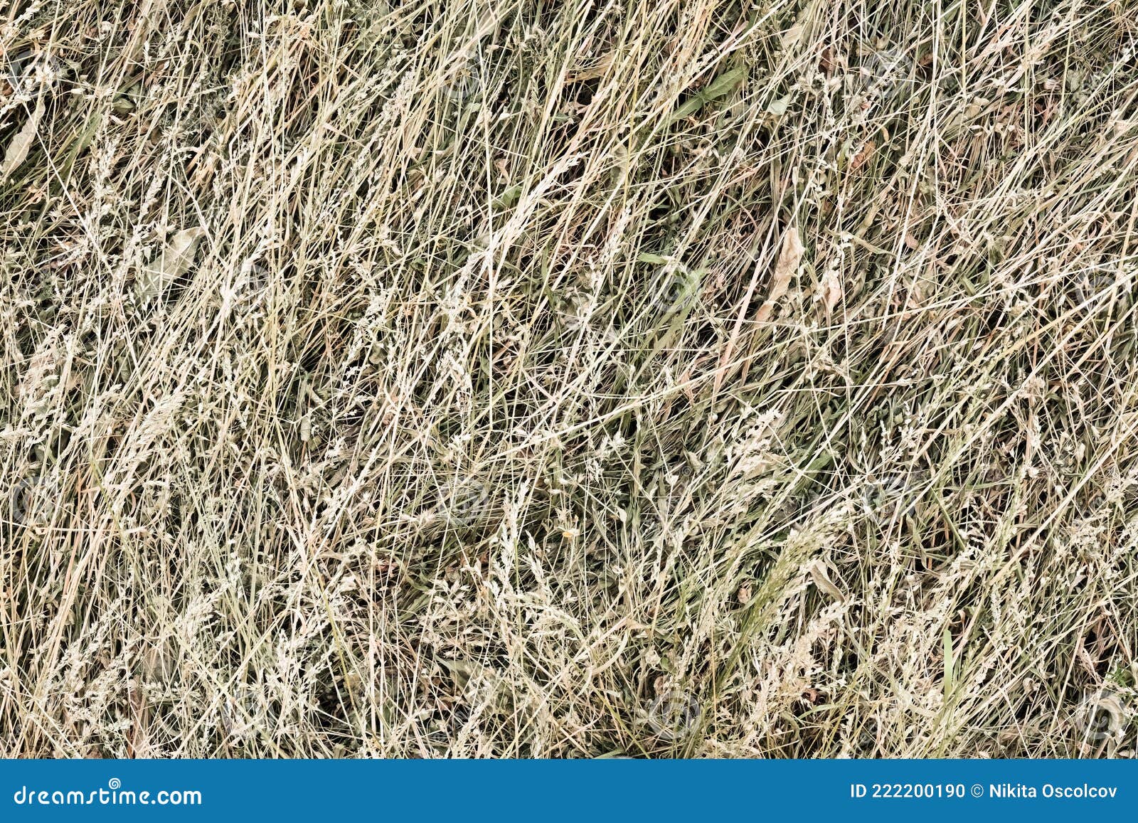 Hay Bale Texture, Dry Textured Straw Background, Golden Haystack In The ...
