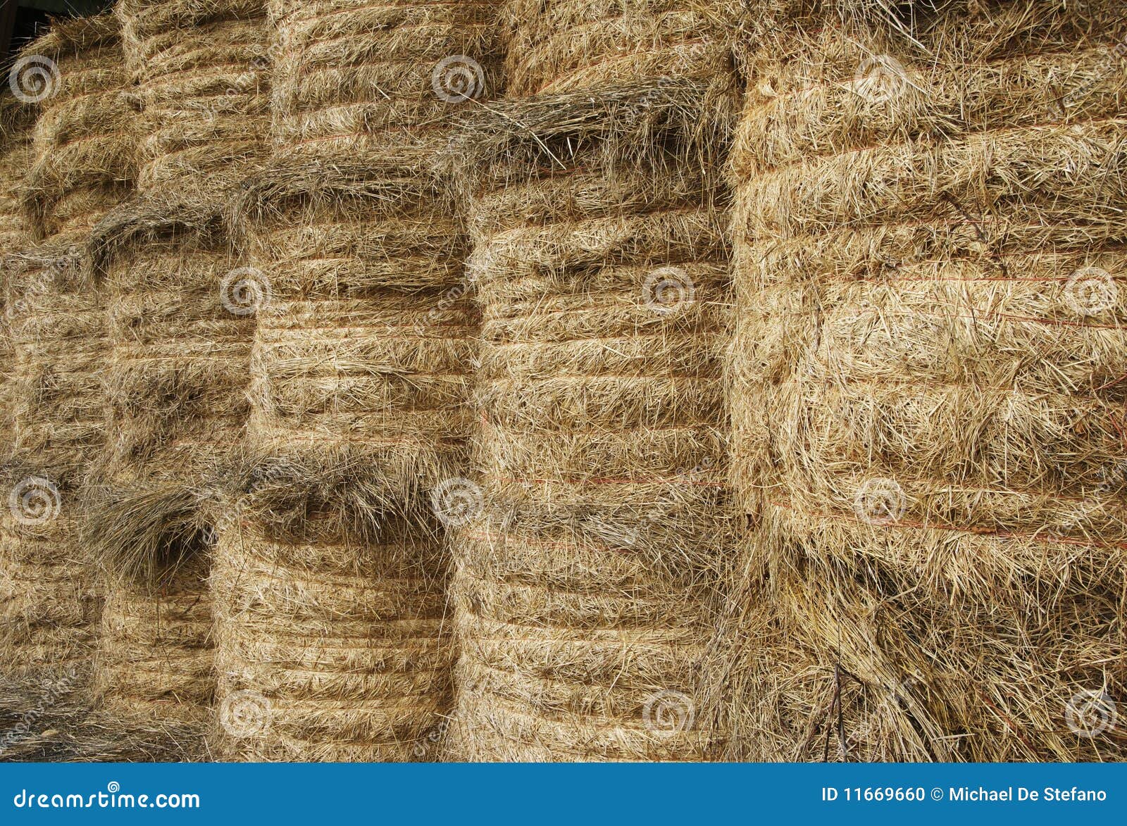 Hay Bales stock photo. Image of rows, round, farming - 11669660