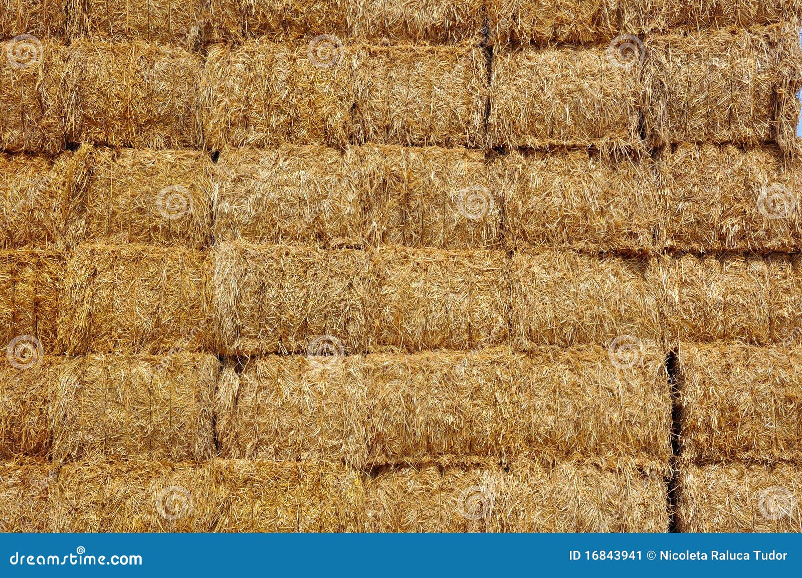 Hay bales stock image. Image of farmland, farm, golden - 16843941