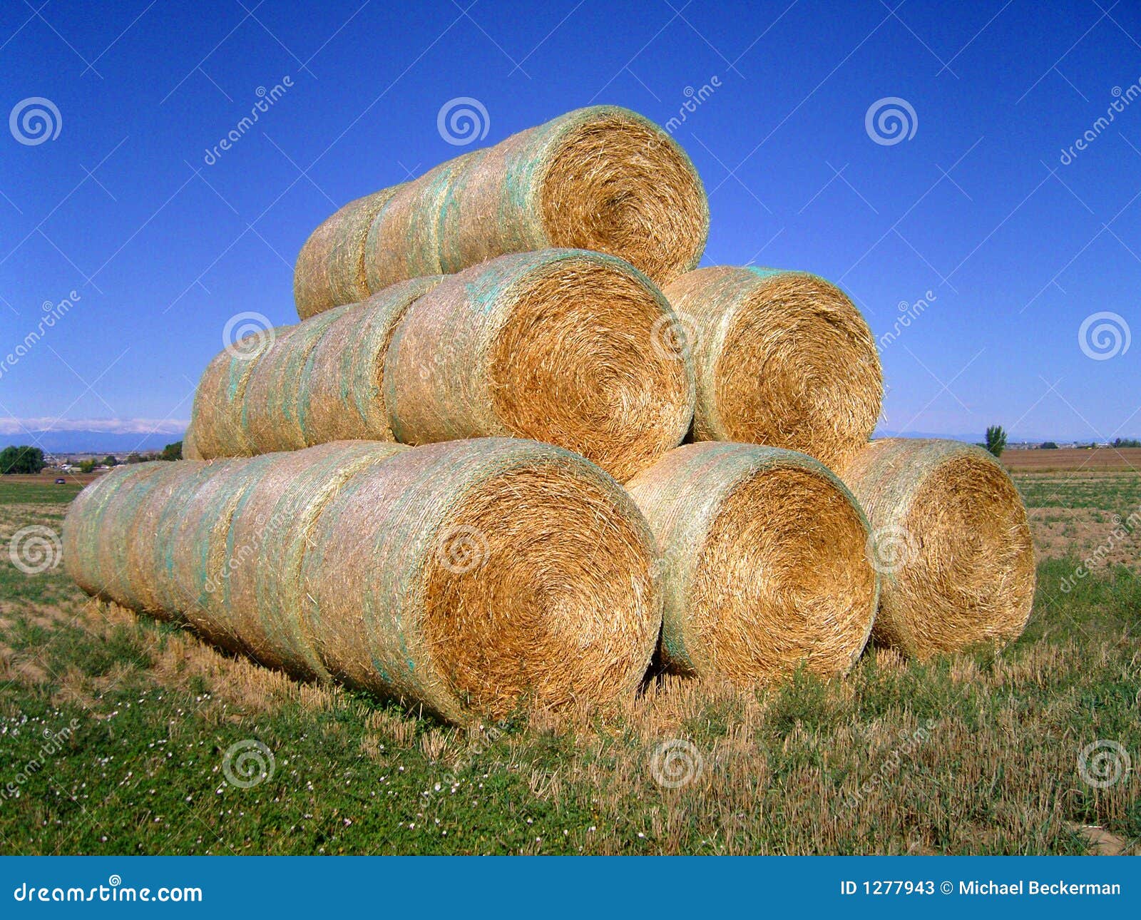 Hay Bales 2 stock image. Image of field, fiber, grain - 1277943
