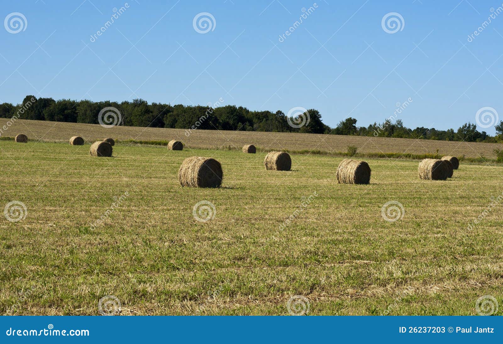Hay bales stock image. Image of round, farm, field, harvest - 26237203