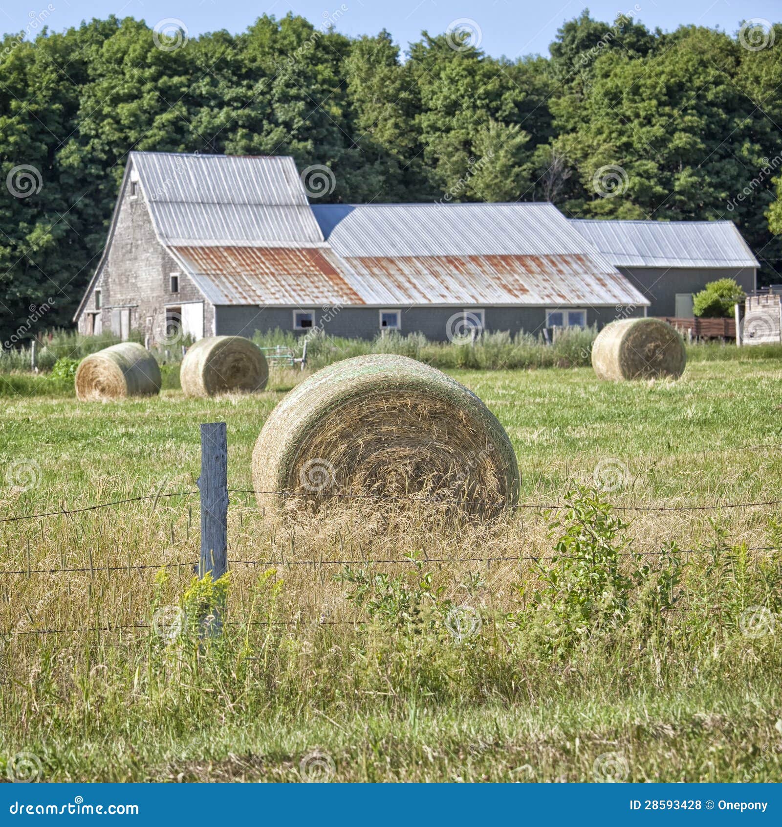 Hay Bales stock photo. Image of color, wire, agriculture - 28593428