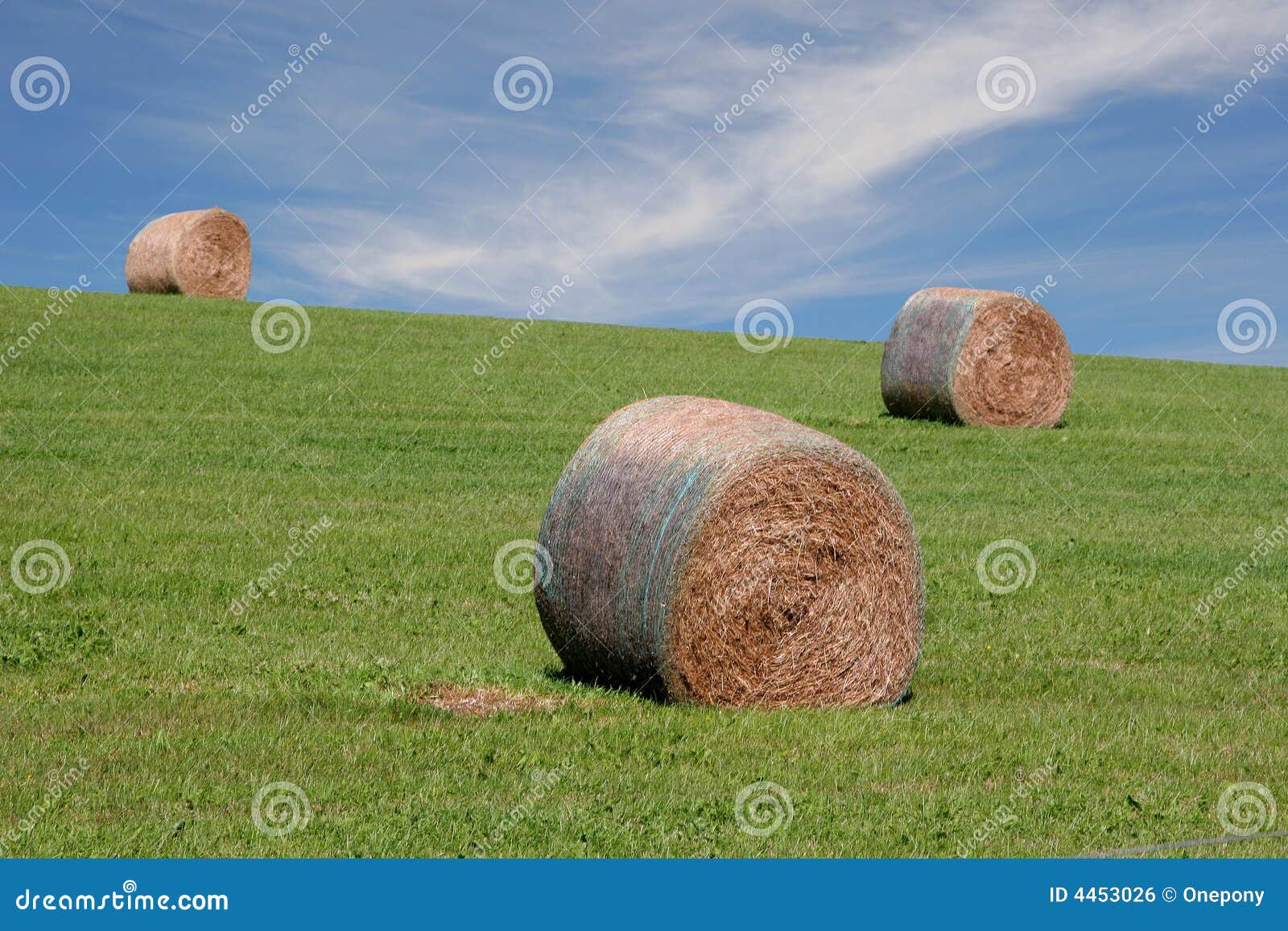 Hay Bales stock photo. Image of chaff, field, livestock - 4453026