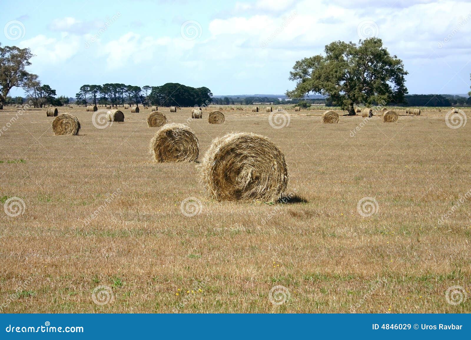 Hay bales stock image. Image of industry, australia, cloudscape - 4846029